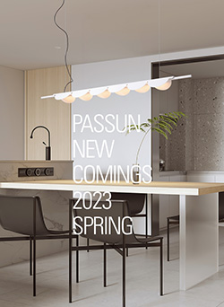 LED Indoor & Outdoor Lighting Solution Manufacturer China - PASSUN